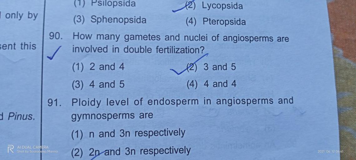 (1) Psilopsida Lycopsida only by (3) Sphenopsida (4)... - Biology