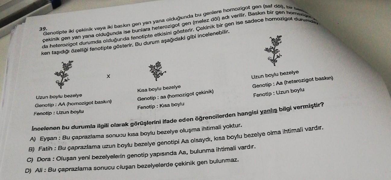 39. Genotipte iki çekinik veya iki baskın gen yan yana olduğunda bu ...
