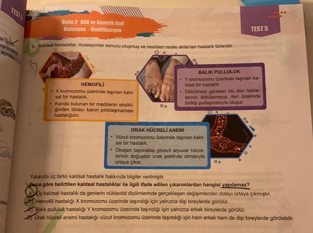 TESTS Ünite 2: DNA ve Genetik Kod Mutasyon - Modifikasyon TEST 5 in ...
