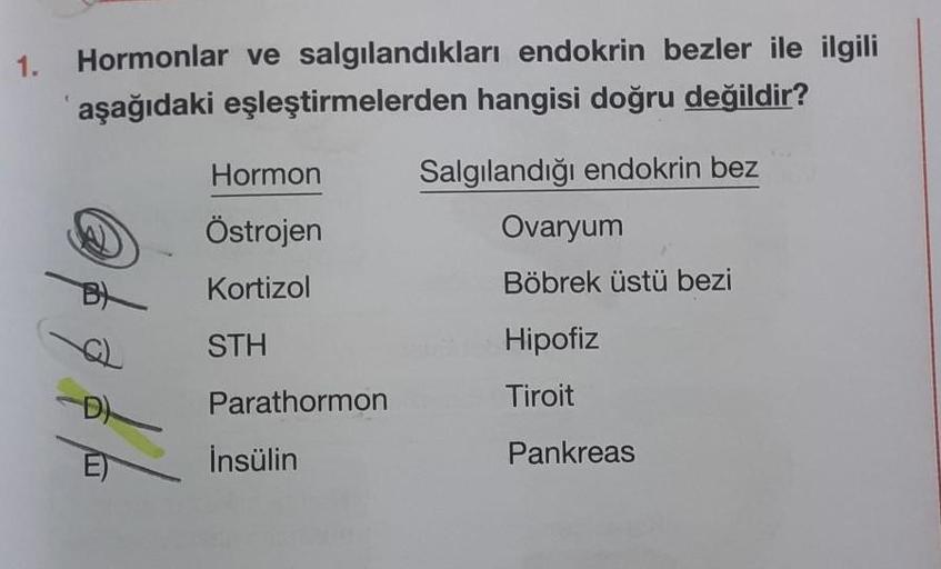 1. Hormonlar ve salgılandıkları endokrin bezler ile ilgili aşağıdaki eşleştirmelerden hangisi ...