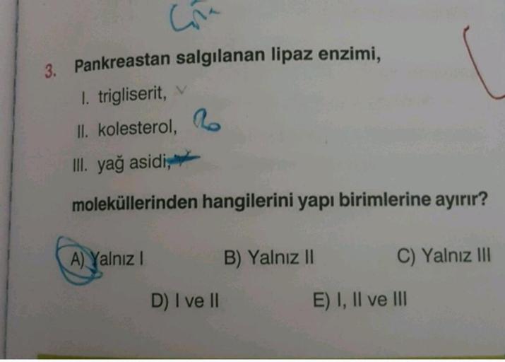 3. Pankreastan salgılanan lipaz enzimi, I. triglise... - Biyoloji