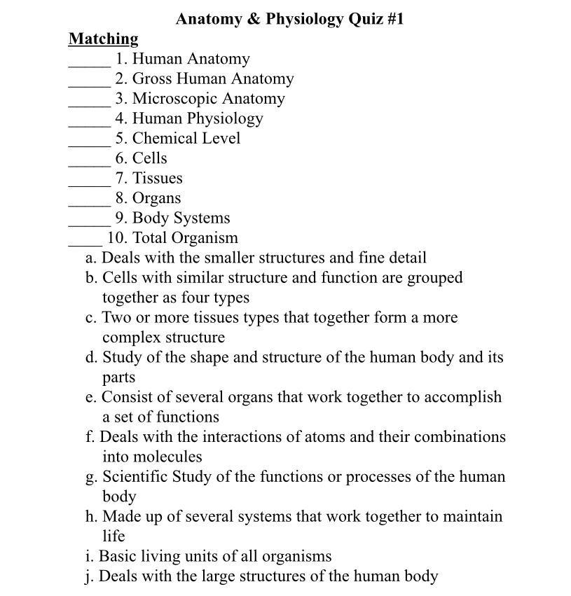 Anatomy Questions And Answers