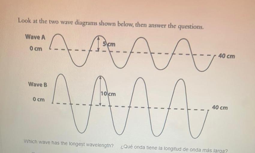 Look at the two wave diagrams shown below, then answ... - Biology