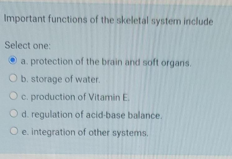 Important Functions Of The Skeletal S Anatomy And Physiology important-functions-of-the-skeletal-s-anatomy-and-physiology