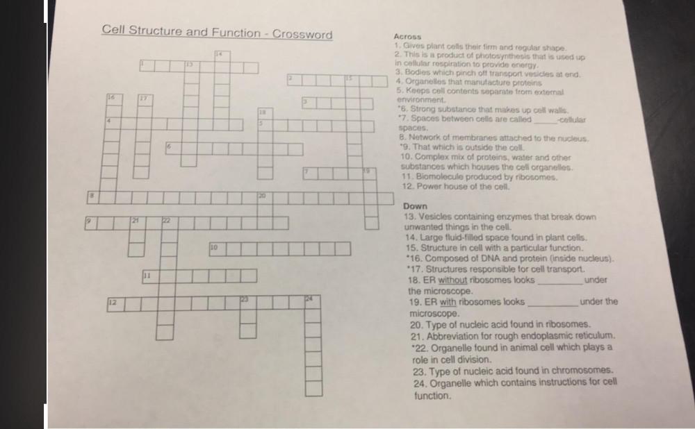 Cell Structure And Function Crossword 22 16 17 Acr Biology Cell Structure And Function Crossword 22 16 17 Acr Biology