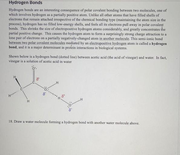 Hydrogen Bonds Hydrogen bonds are an int... - Inorganic Chemistry