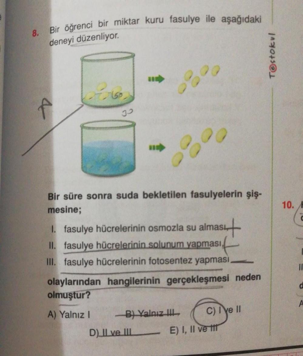 8. Bir öğrenci bir miktar kuru fasulye ile aşağıdaki deneyi düzenliyor ...
