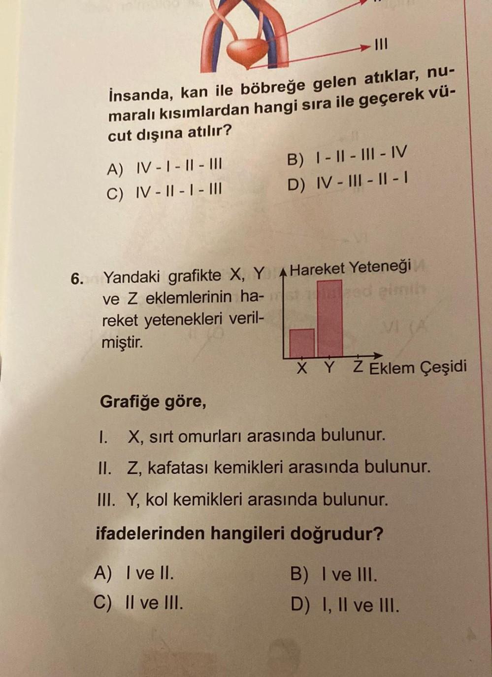 İnsanda, kan ile böbreğe gelen atıklar, nu- maralı kısımlardan hangi ...