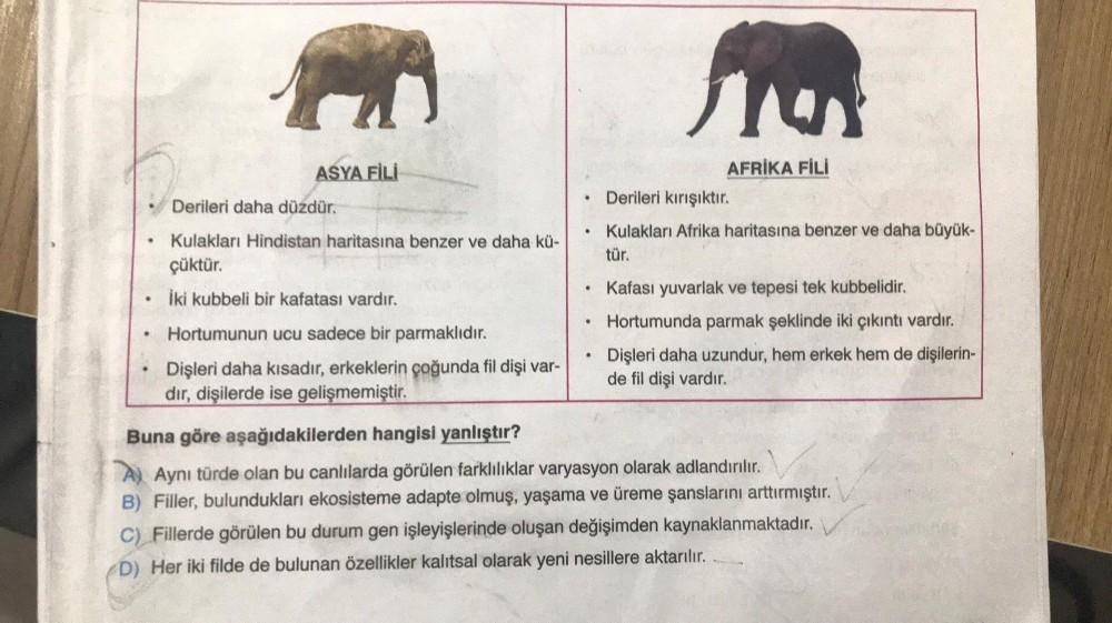 110 ASYA FİLİ . Derileri daha düzdür. AFRİKA FİLİ Derileri kırışıktır ...