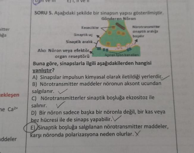 SORU 5. Aşağıdaki şekilde bir sinapsin yapısı gösterilmiştir. Gönderen ...