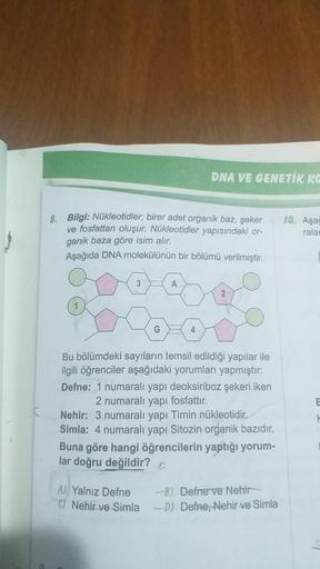 DNA VE GENETİK KO 10. Aşa rala 8. Bilgi: Nükleotidler; birer adet ...