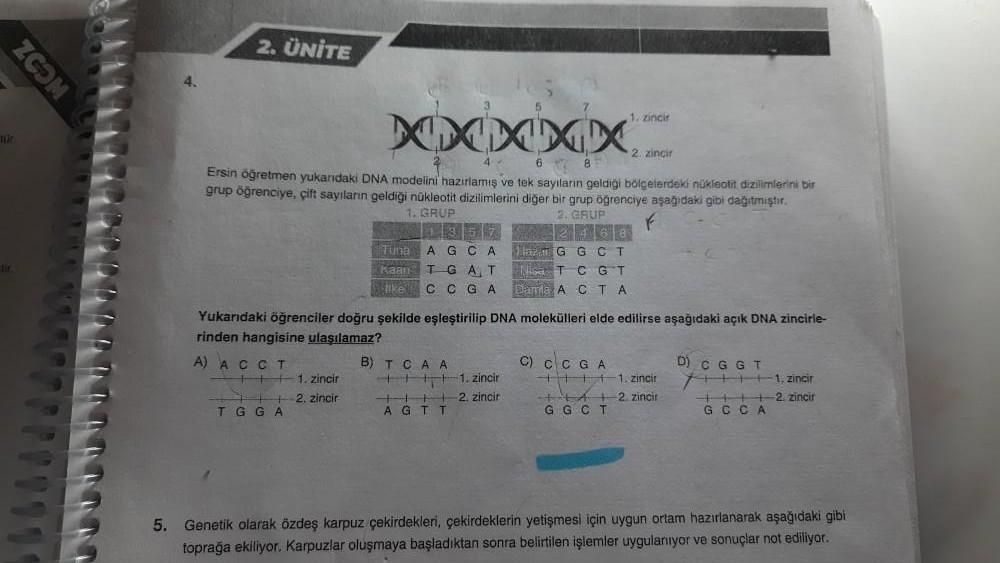 2. ÜNİTE ZCOM 1. zincir Tu XOXOXXX 2. zincir 68 Ersin öğretmen ...