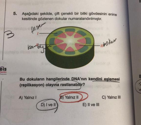 5. Aşağıdaki şekilde, çift çenekli bir bitki gövdes... - Biyoloji