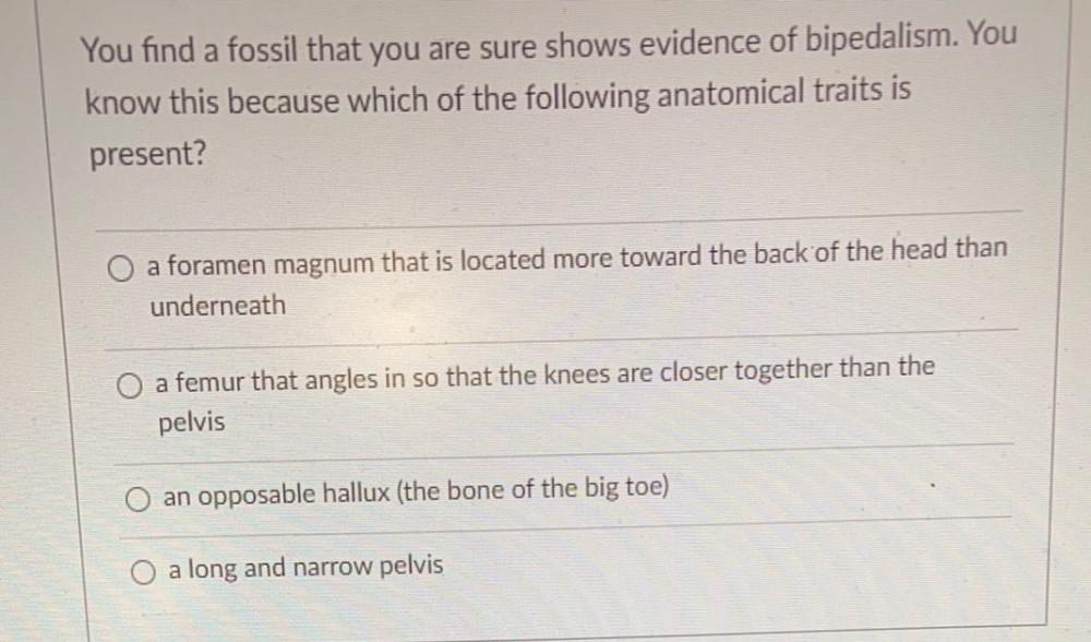 you-find-a-fossil-that-you-are-sure-shows-evidence-o-biology