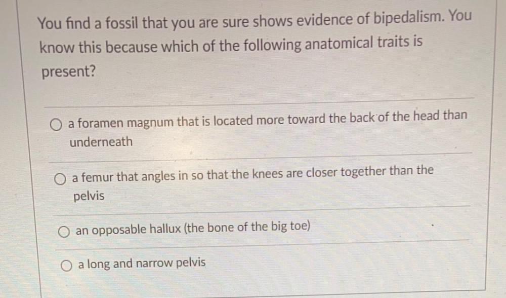 You Find A Fossil That You Are Sure Shows Evidence O Biology You Find A Fossil That You Are Sure Shows Evidence O Biology