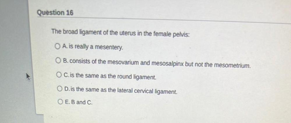 Question 16 The broad ligament of the... - Anatomy and Physiology