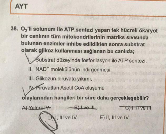 AYT 38. O 'li solunum ile ATP sentezi yapan tek hücreli ökaryot bir ...