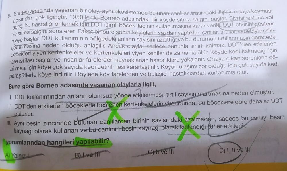 6. Borneo adasında yaşanan bir olay, ay... - Ortaokul Fen Bilgisi