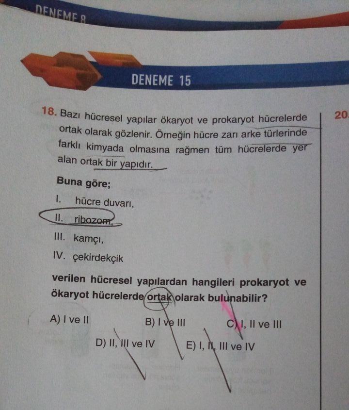 DENEME 8 DENEME 15 18. Bazı hücresel yapılar ökaryo... - Biyoloji