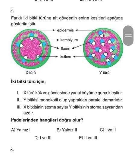 2. Farklı iki bitki türüne ait gövdenin enine kesit... - Biyoloji