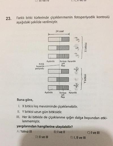 velv 23. Farklı bitki türlerinde çiçeklenmenin foto... - Biyoloji