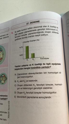 27. DENEME 6. Iki alelle kontrol edilen otozomal ol... - Biyoloji