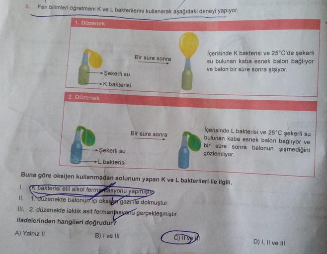 6. Fen bilimleri öğretmeni K ve L bakte... - Ortaokul Fen Bilgisi