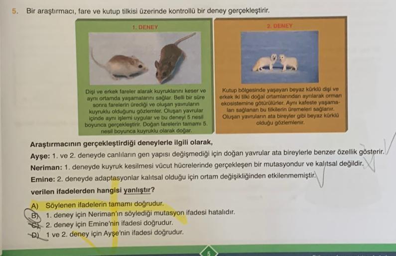 5. Bir araştırmacı, fare ve kutup tilkisi üzerinde kontrollü bir deney ...