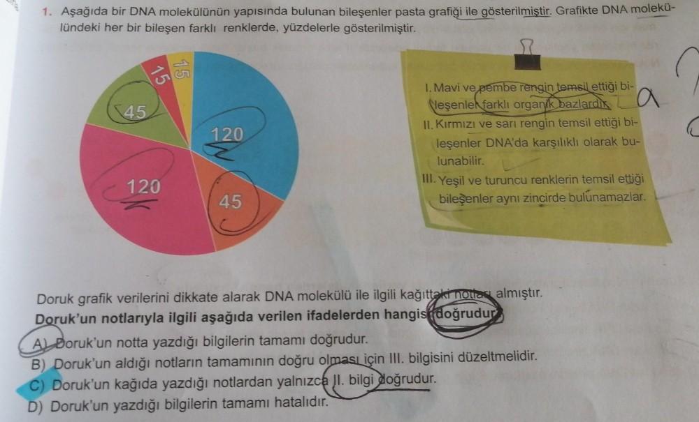 1. Aşağıda bir DNA molekülünün yapısında bulunan bileşenler pasta ...