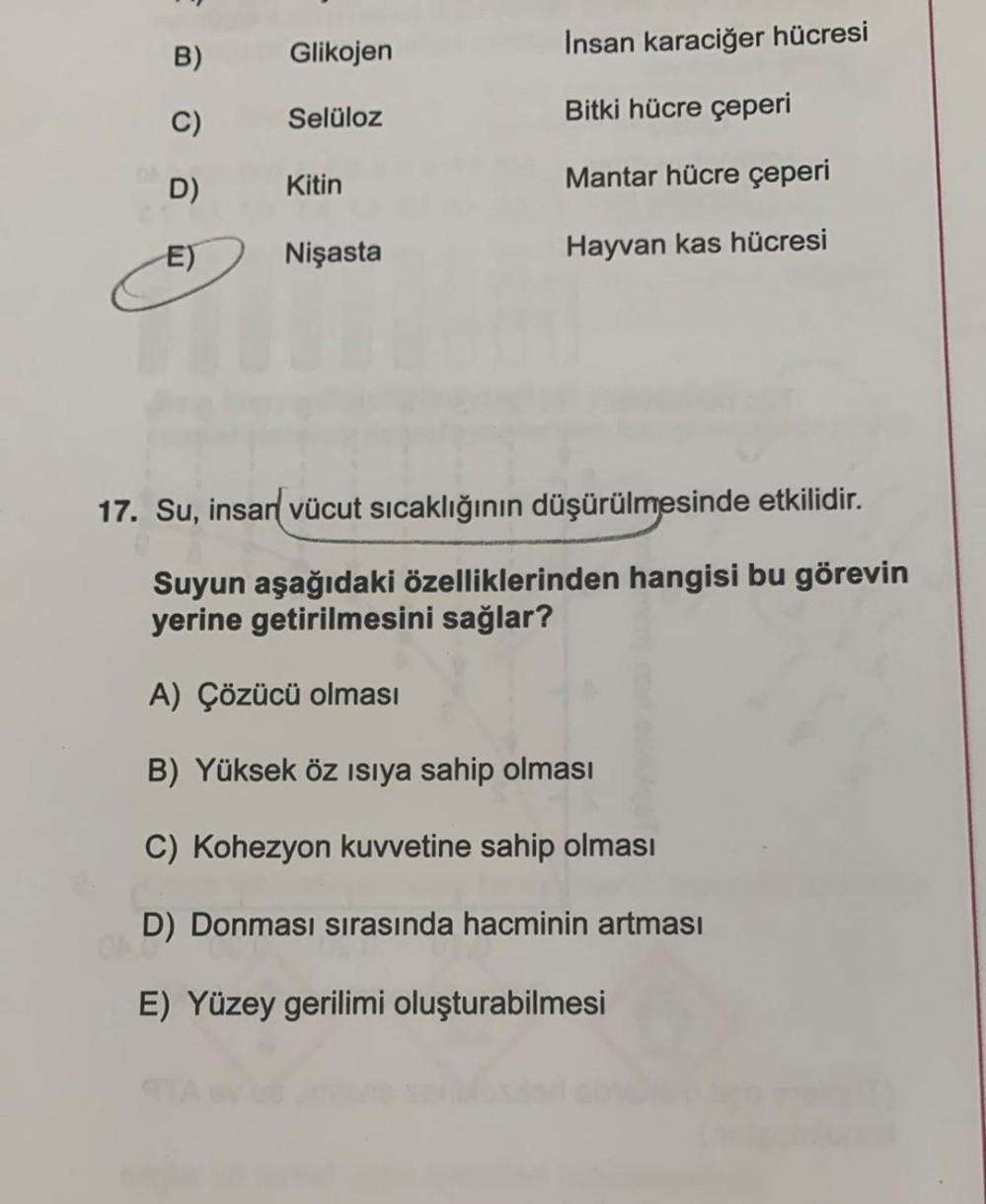 B) C) D) E) Glikojen Selüloz Kitin Nişasta Insan ka... - Biyoloji