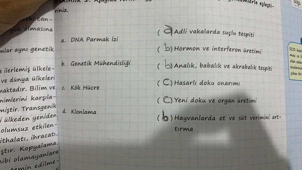 ceki can- yok olmasına mlar aynı genetik riniz. a. ... - Biyoloji