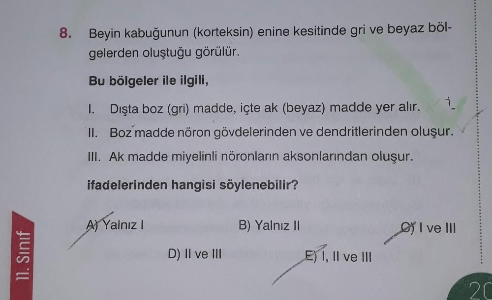 11. Sınıf 8. Beyin kabuğunun (korteksin) enine kesi... - Biyoloji - Kunduz