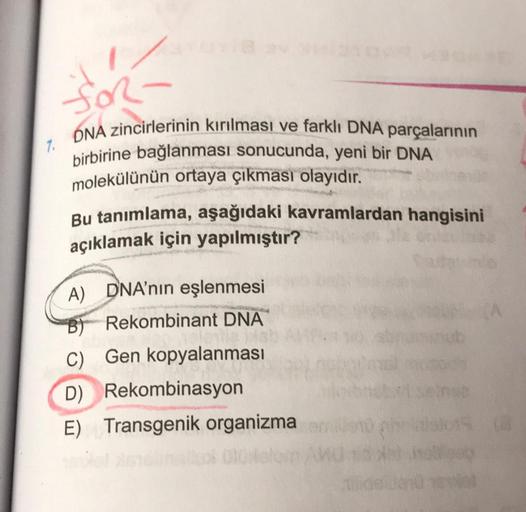 7. for DNA zincirlerinin kırılması ve farklı DNA pa... - Biyoloji 7. for DNA zincirlerinin kırılması ve farklı DNA pa... - Biyoloji
