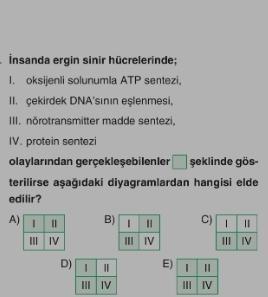 İnsanda ergin sinir hücrelerinde; 1. oksijenli solunumla ATP sentezi ...