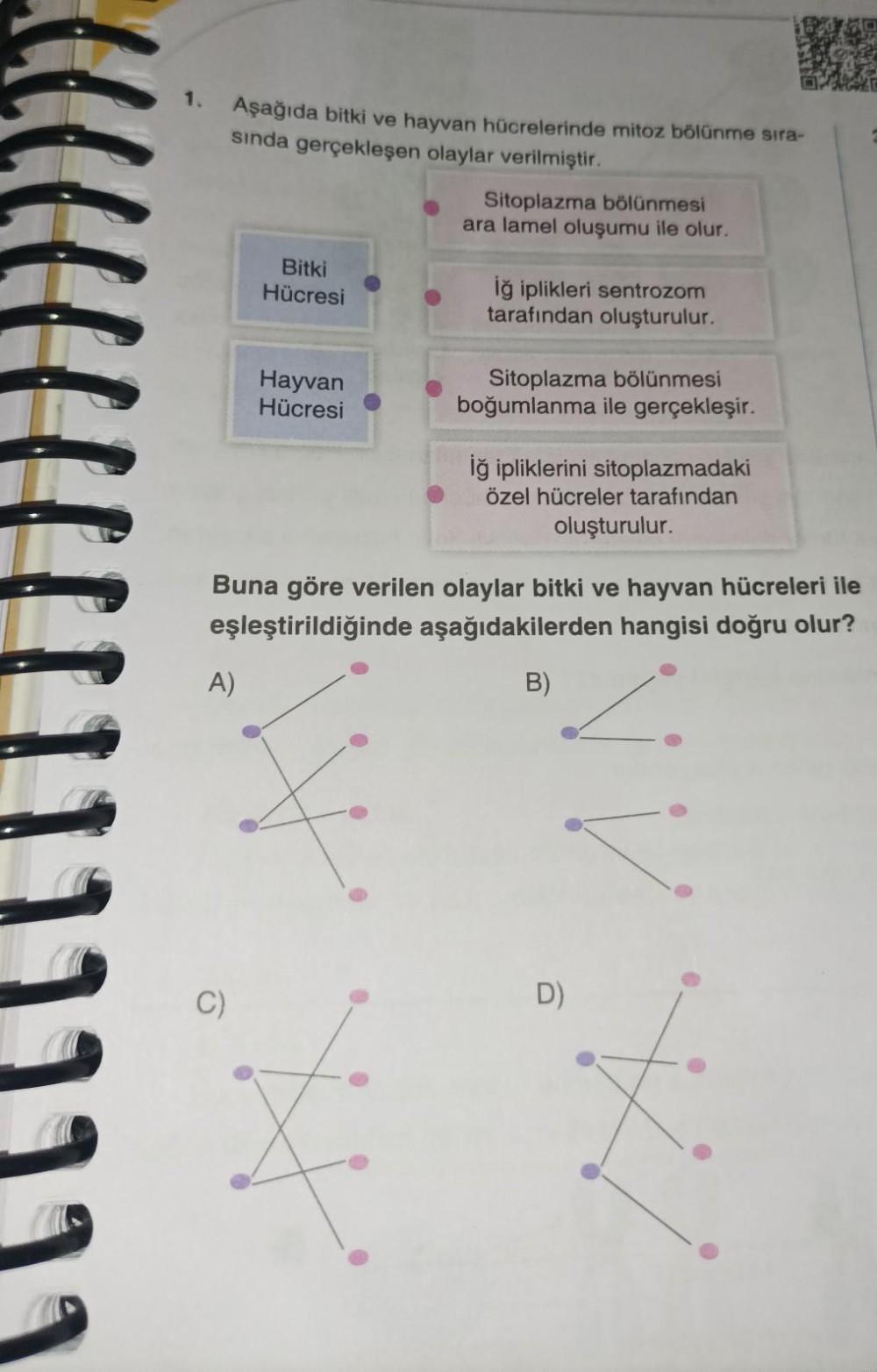 1. Aşağıda bitki ve hayvan hücrelerinde mitoz bölünme sıra- sında ...