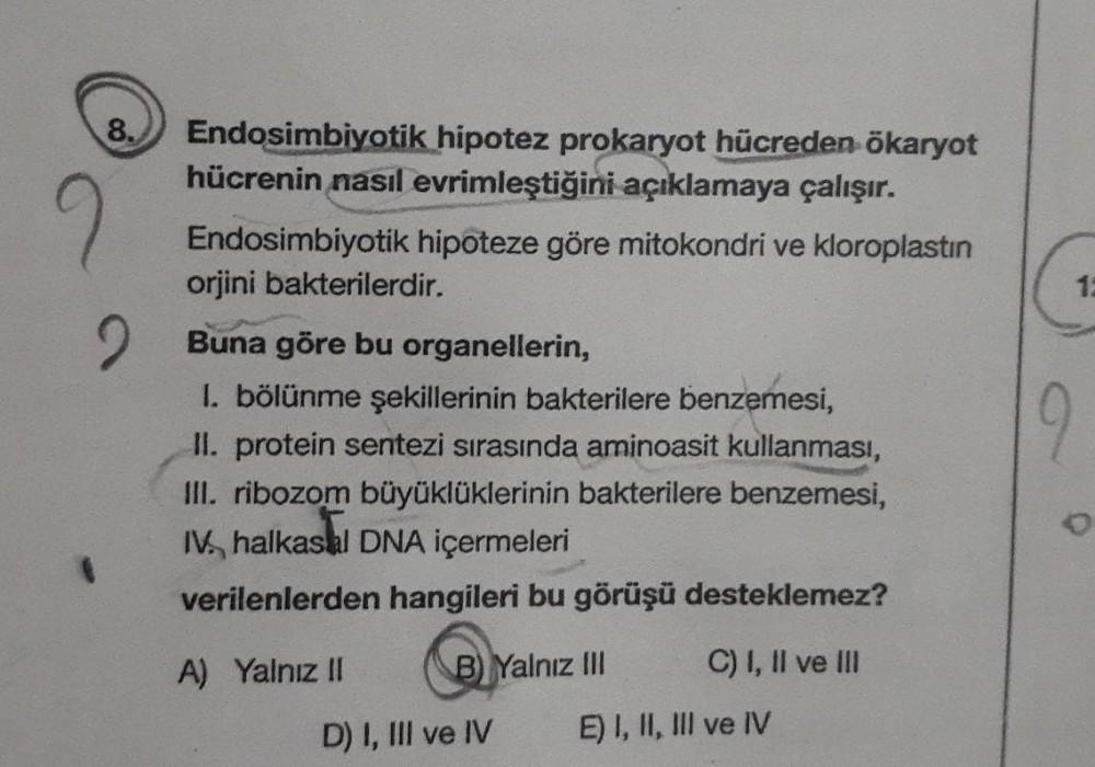 8. 2 Endosimbiyotik hipotez prokaryot hücreden ökaryot hücrenin nasıl ...
