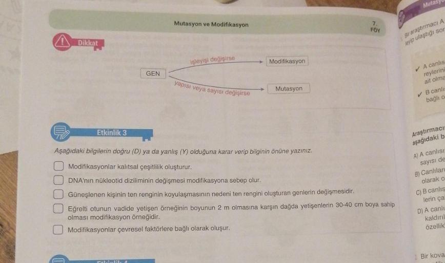 Dikkat Etkinlik 3 GEN Falimil Mutasyon ... - Ortaokul Fen Bilgisi