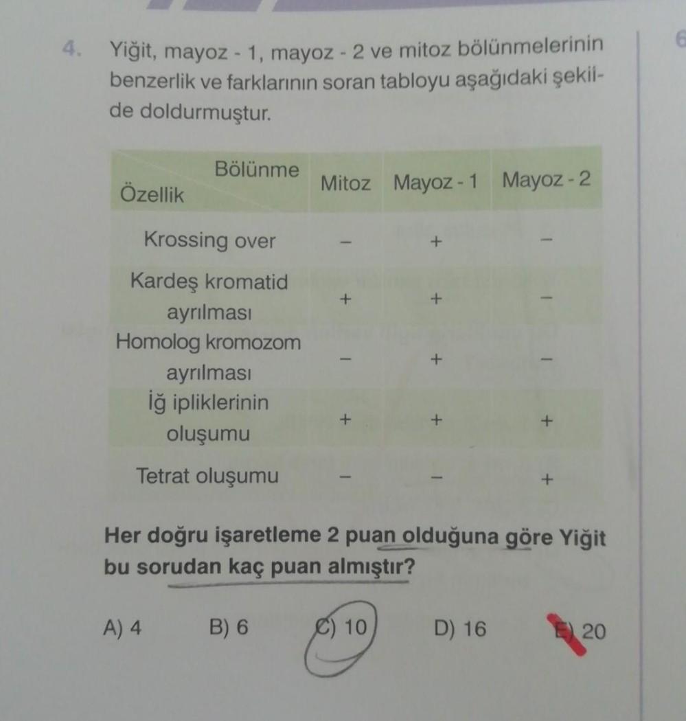 4. Yiğit, mayoz - 1, mayoz - 2 ve mitoz bölünmelerinin benzerlik ve ...