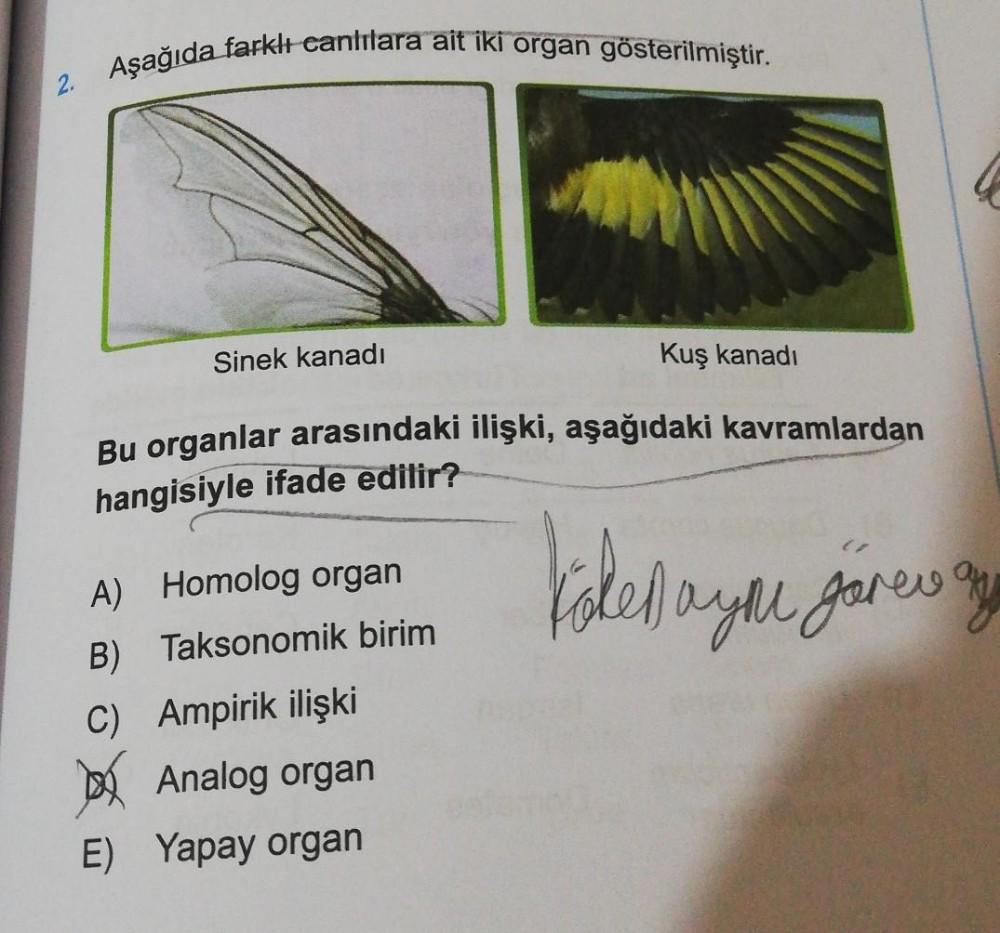2. Aşağıda farklı canlılara ait iki organ gösterilm... - Biyoloji