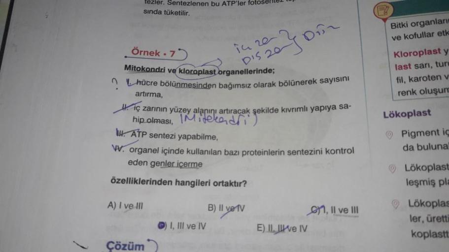 tezler. Sentezlenen bu ATP'ler fotoserez to sında t... - Biyoloji