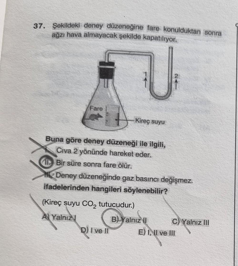 37. Şekildeki deney düzeneğine fare konulduktan sonra ağzı hava ...