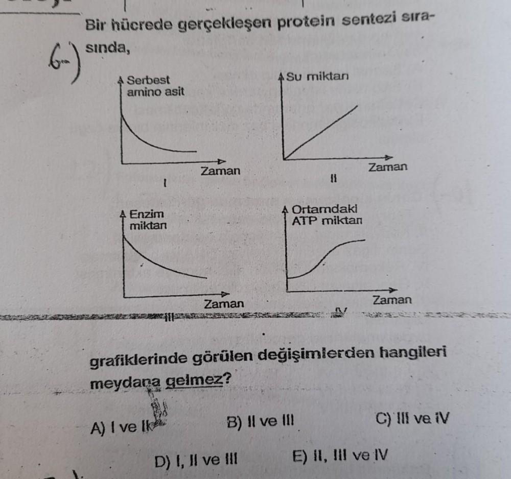 6-) Bir hücrede gerçekleşen protein sentezi sıra- s... - Biyoloji