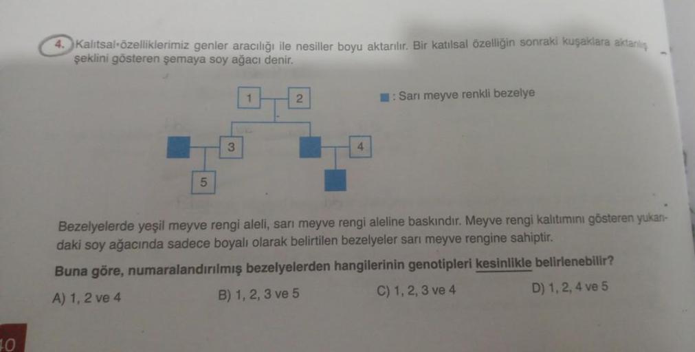 10 4. Kalıtsal özelliklerimiz genler ar... - Ortaokul Fen Bilgisi
