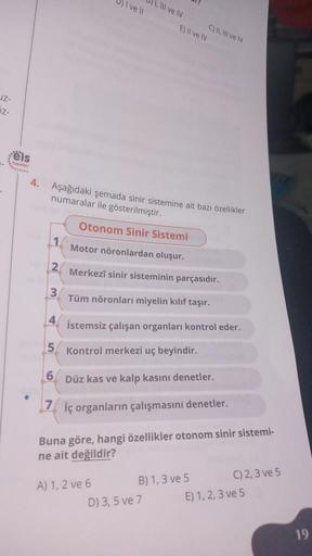 JZ- 5z- fels Yaylon ******* 1 2 3 I ve Il 1, III ve IV 4. Aşağıdaki ...