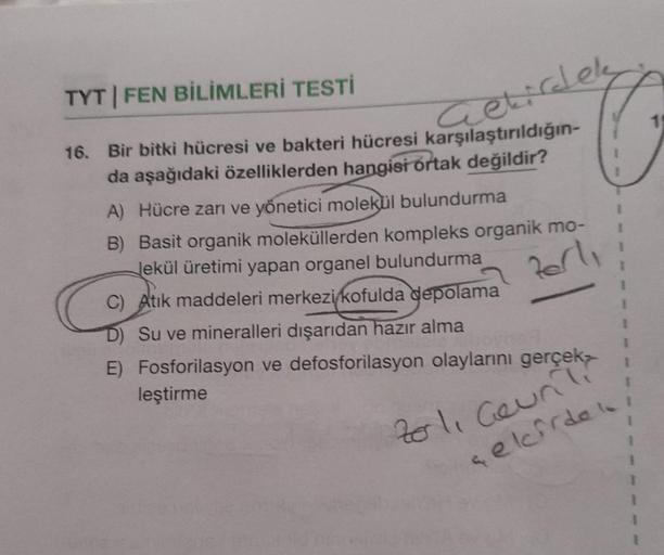 TYT FEN BİLİMLERİ TESTİ 16. Bir bitki hücresi ve bakteri hücresi ...