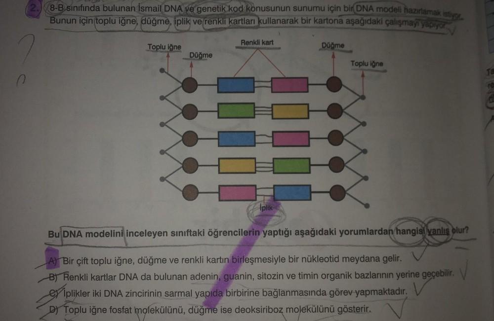 0 8-B sınıfında bulunan İsmail DNA ve genetik kod konusunun sunumu için ...