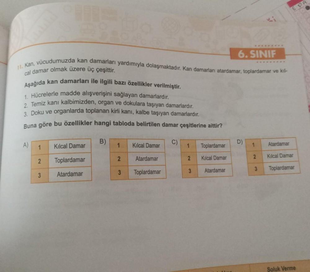 6. SINIF 11. Kan, vücudumuzda kan damarları yardımıyla dolaşmaktadır ...