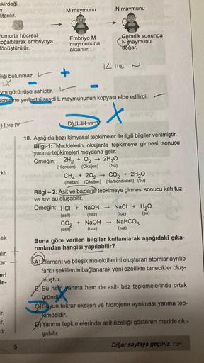 ekirdeği n ktarılır. Yumurta hücresi co... - Ortaokul Fen Bilgisi
