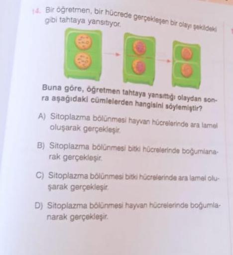 14. Bir öğretmen, bir hücrede gerçekleşen bir olayı şekildeki gibi ...