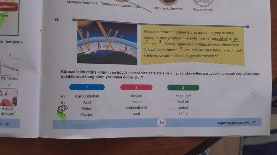 zellikleri 'den rin hangisin- Y Diş mac... - Ortaokul Fen Bilgisi - Kunduz